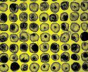 Ripped Painting’s Damage Evaluation and Repair Proposal -Good info for ...